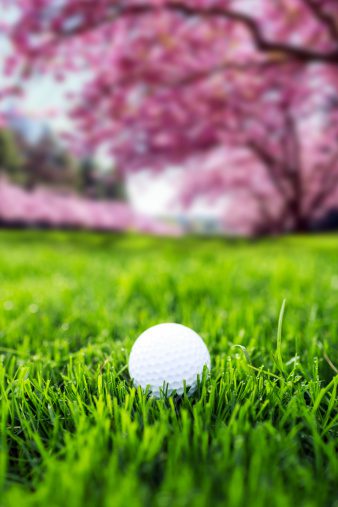 4 Reasons to Start Golfing this Spring